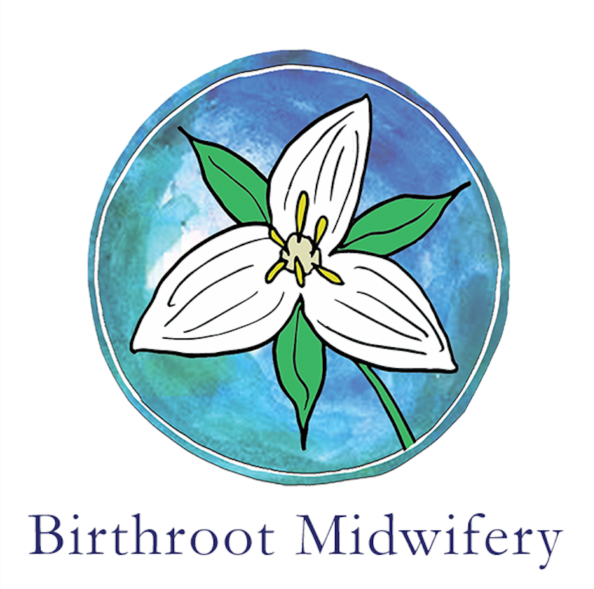 Birthroot Midwifery - Astrid Grove Birth Kit – Simply Birth